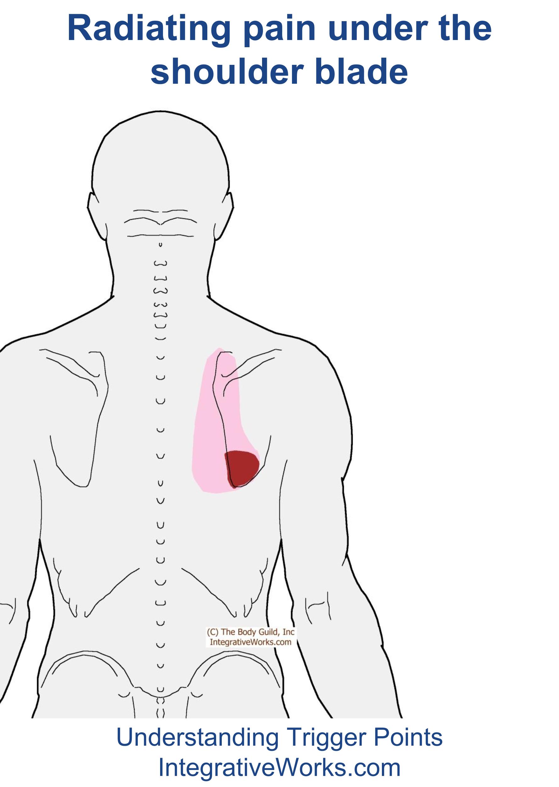 Pain At The Bottom Of The Shoulder Blade Integrative Works