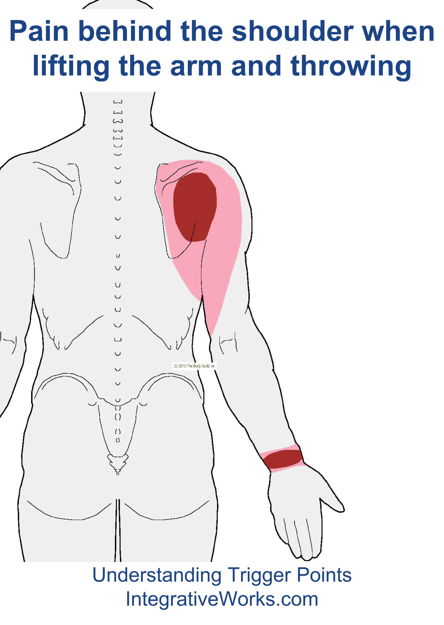 Pain Behind The Shoulder When Lifting Arm Integrative Works