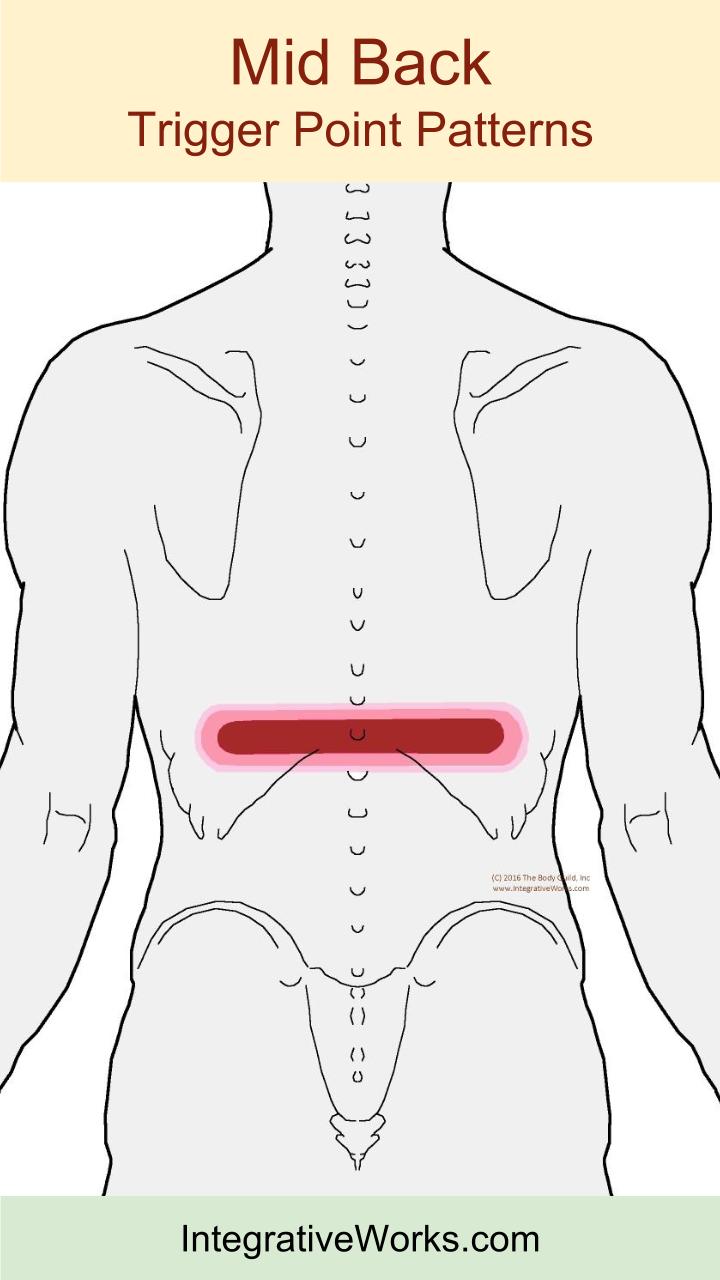 Back - Pain and Impaired Function - Integrative Works