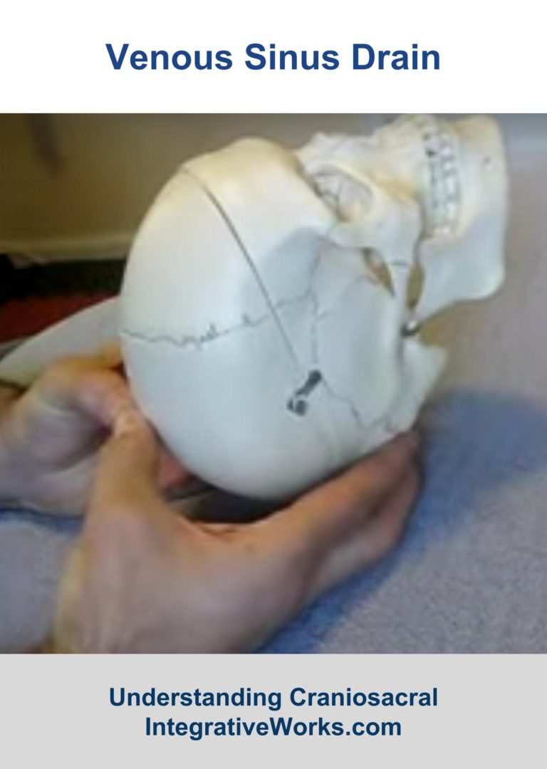 Understanding Craniosacral - Venous sinus drain - Integrative Works