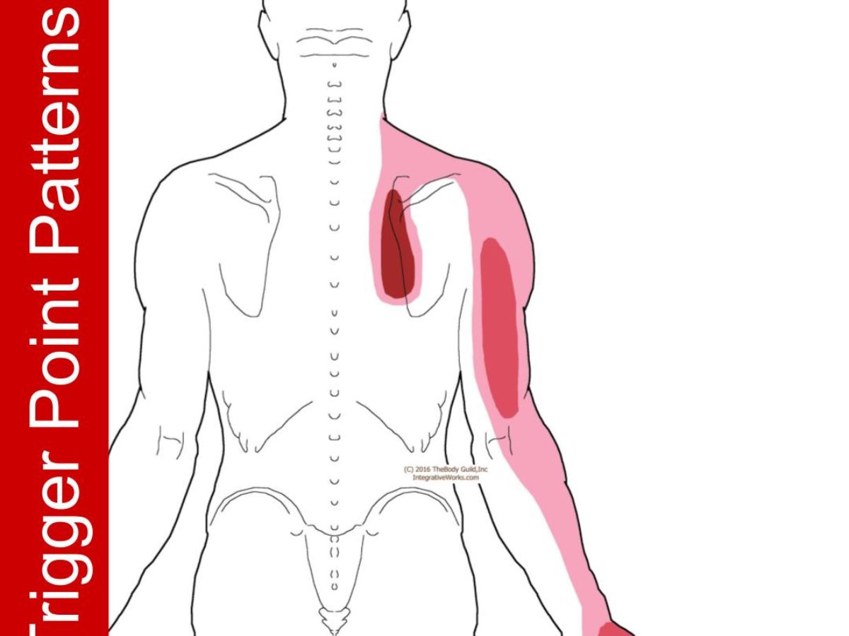 Upper Back Muscles Pain