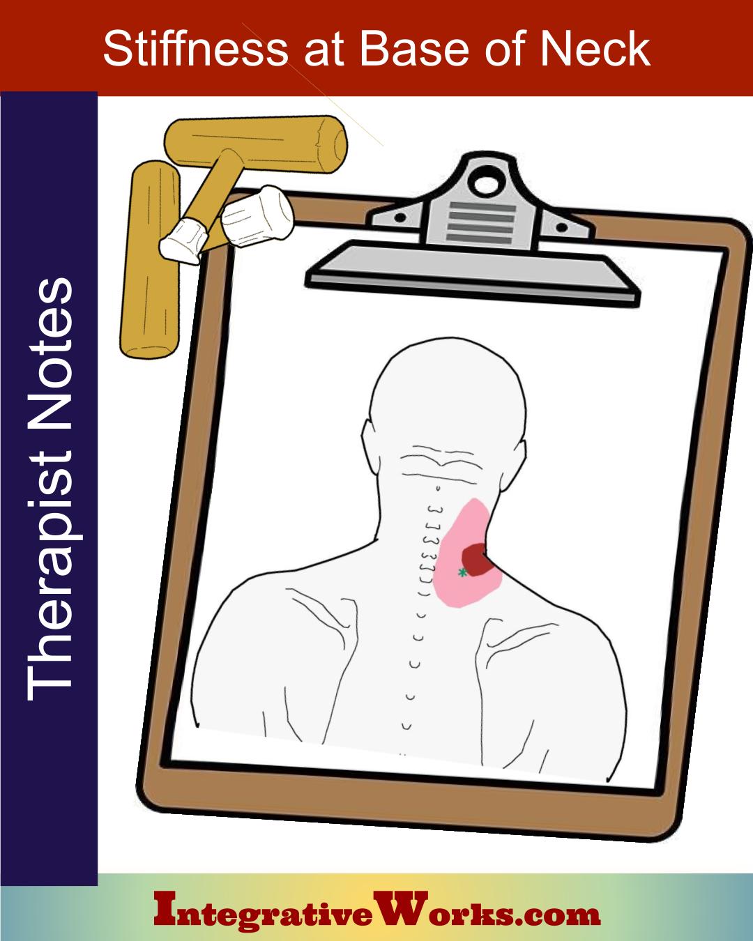 Stiffness at the Base of the Neck When Turning - Massage Therapy Notes ...