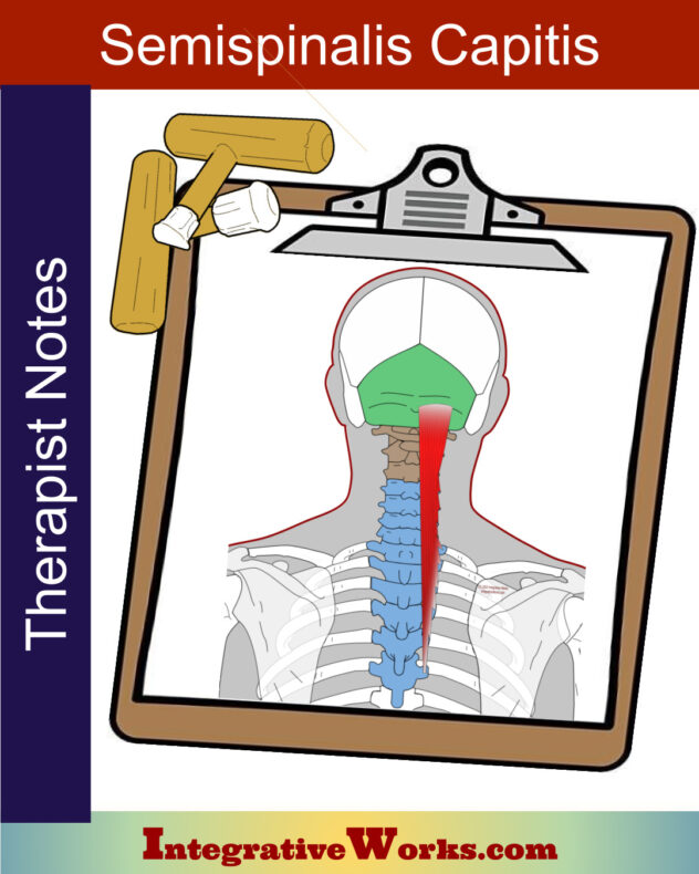 Headache Spot Just Above The Temple - Integrative Works
