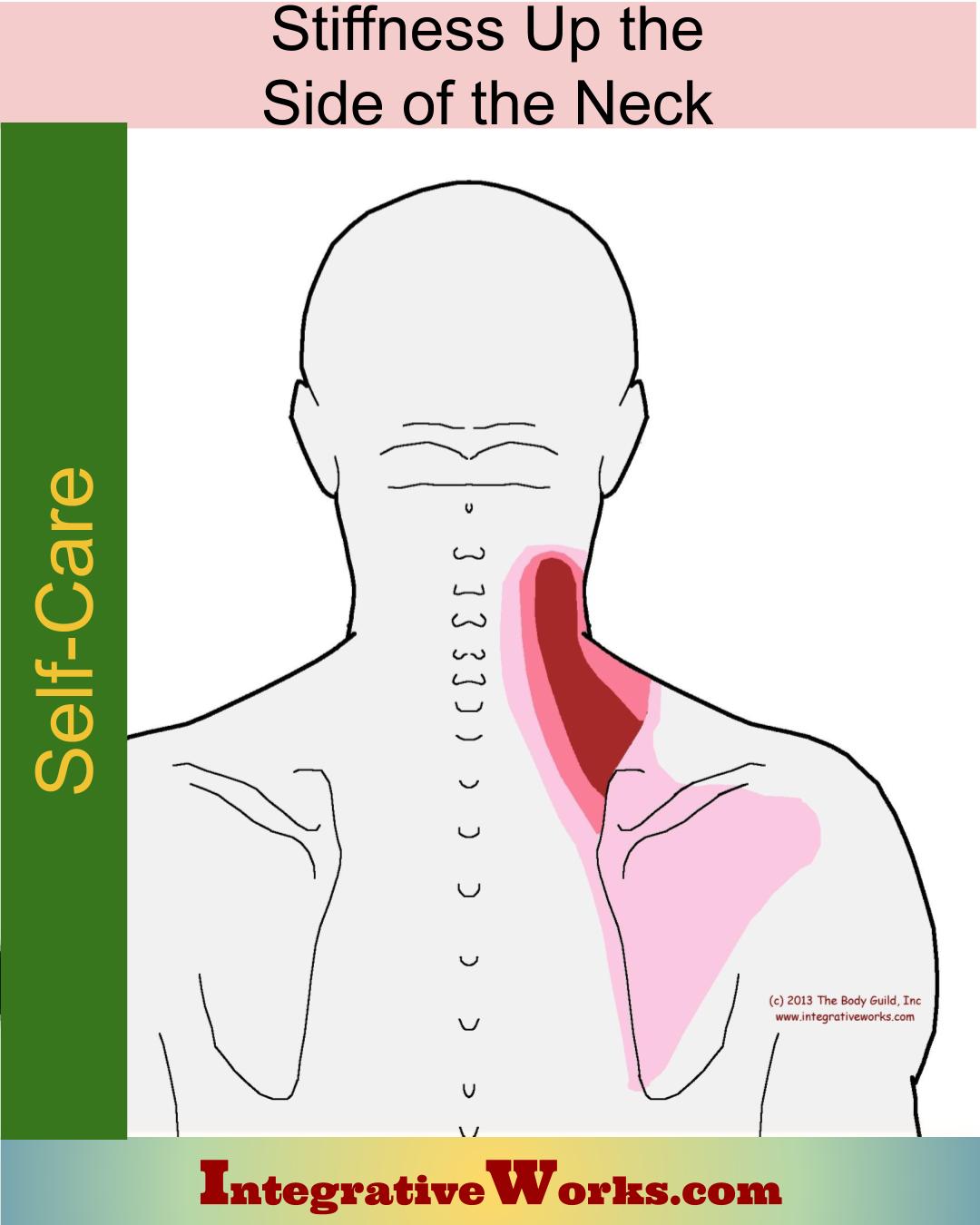 Stiff Neck: Pain Patterns and Self-Care - Integrative Works