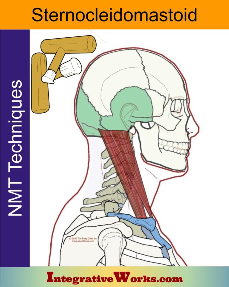 Sternocleidomastoid Neuromuscular Massage Protocol Integrative Works