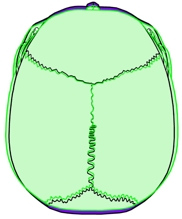 Feel Your Craniosacral Cycle - Integrative Works