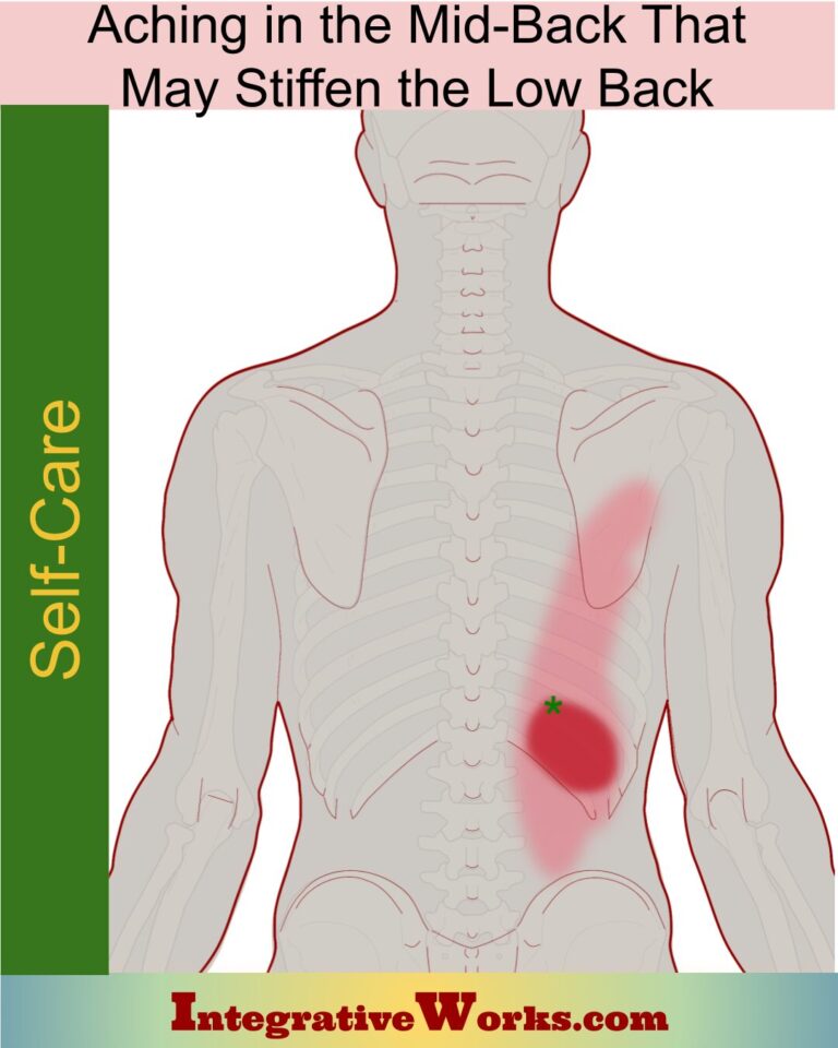 Stiff, Fragile, Aching Low Back: Pain Patterns, Causes, Self-Care ...