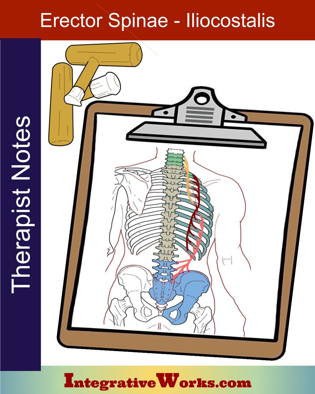 oitf-breathing Archives - Integrative Works