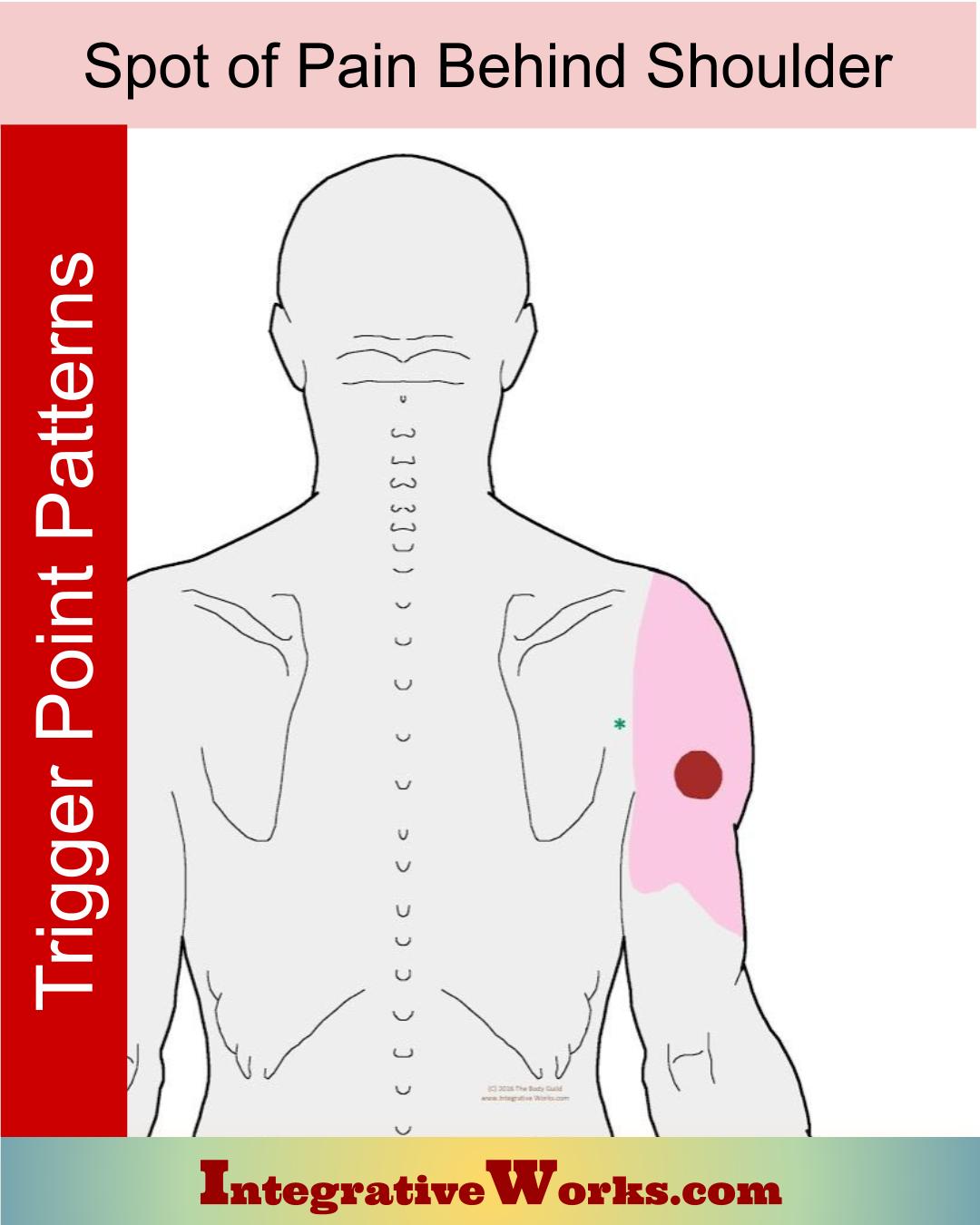 Spot of pain behind shoulder - Integrative Works