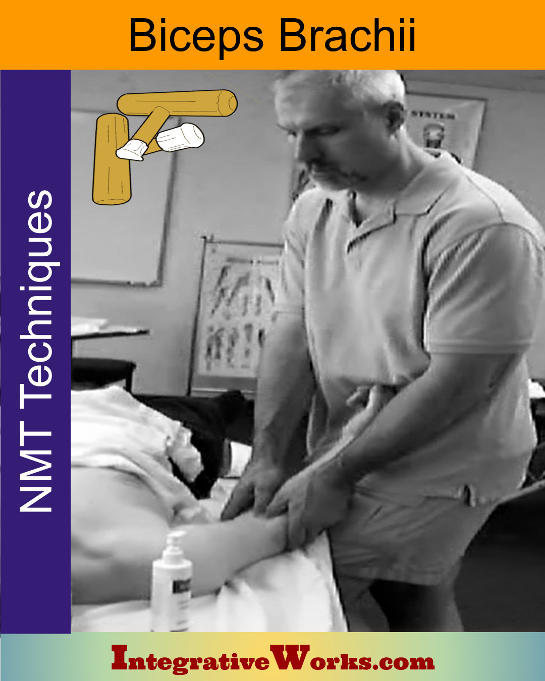 Biceps Brachii Neuromuscular Protocol Integrative Works