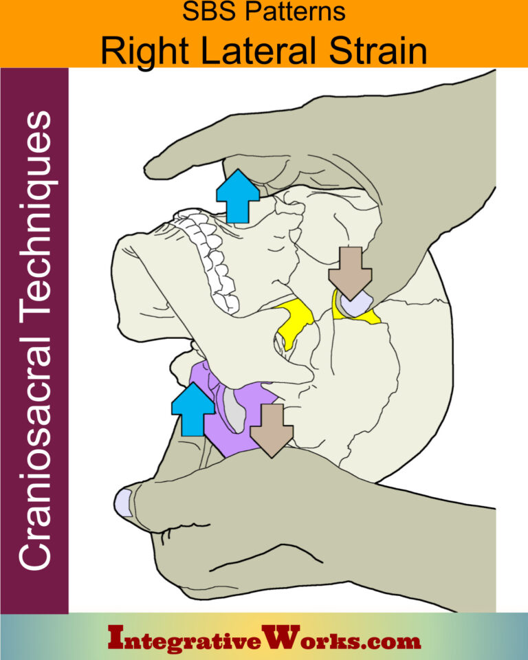 Craniosacral - The Collection - Integrative Works