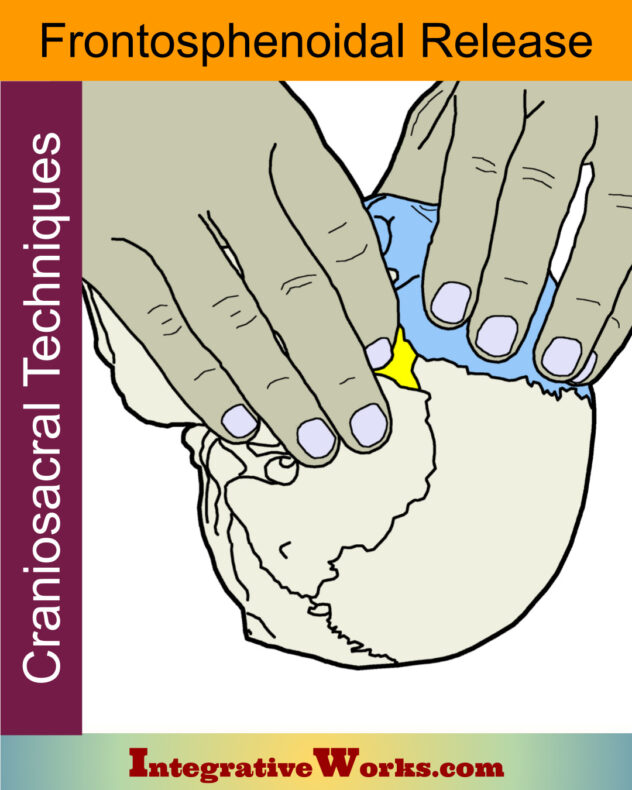 Craniosacral - The Techniques - Integrative Works