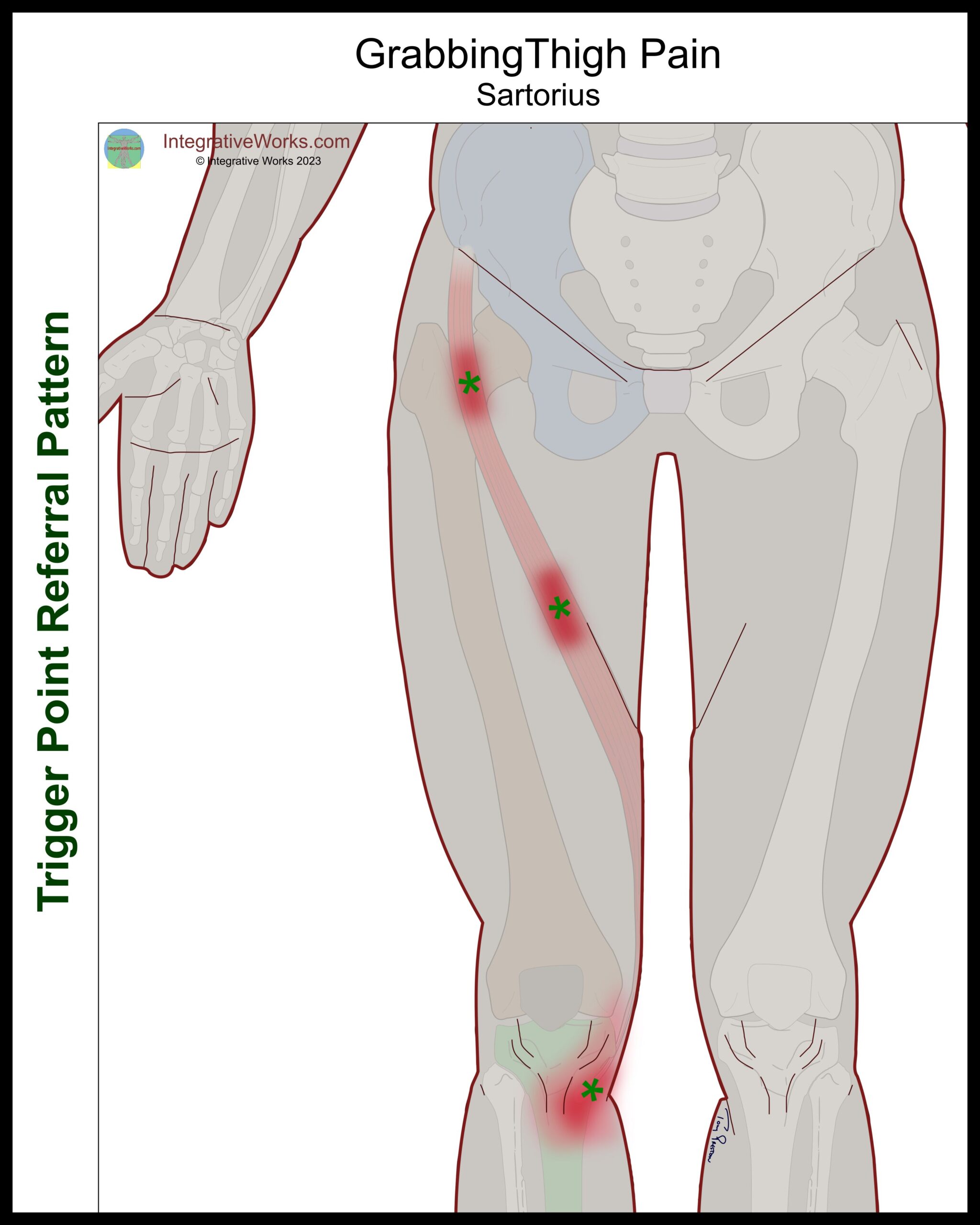 Self-Care - Pain Inside of Knee Sometime Across Thigh - Integrative Works