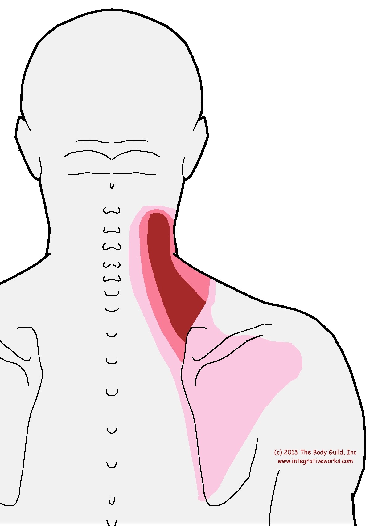 Stiff Side of Neck When Turning - Integrative Works