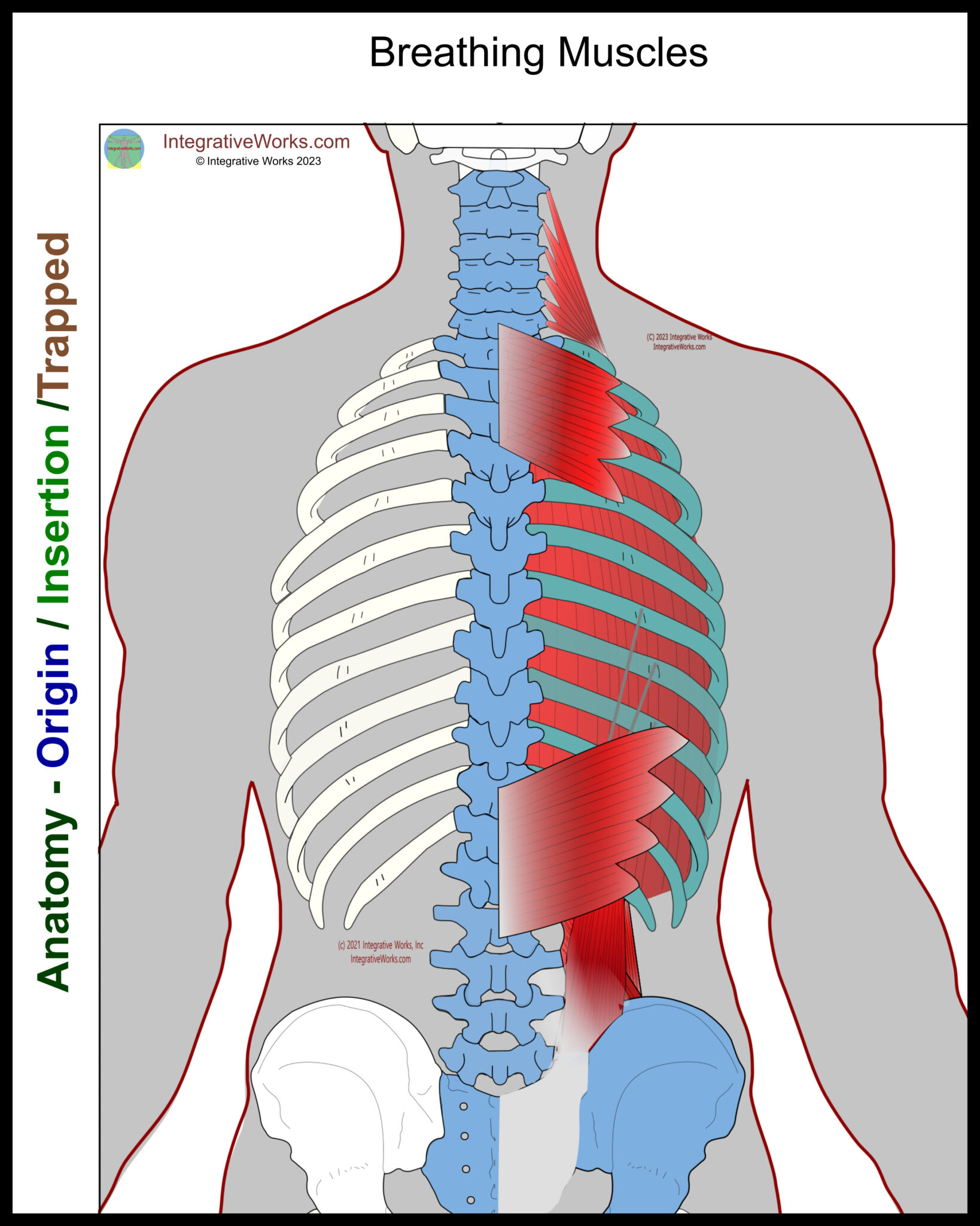 Breathing: Pain Patterns and Self-care - Integrative Works