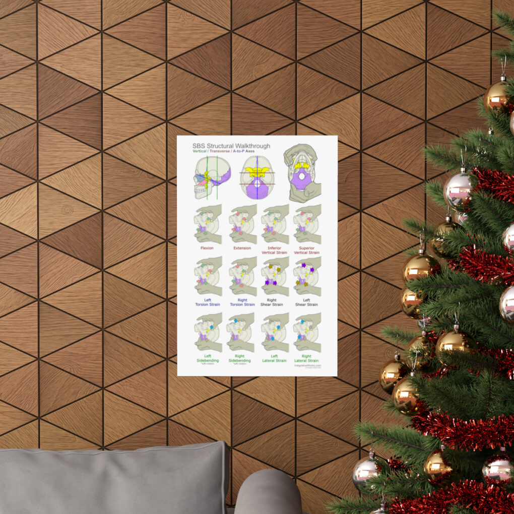 Craniosacral SBS Structural Walkthrough - matte print, not framed - Integrative Works
