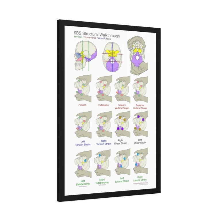 Craniosacral SBS Structural Walkthrough - matte print, framed ...