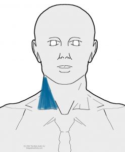 Stretching for scalene muscles - Integrative Works